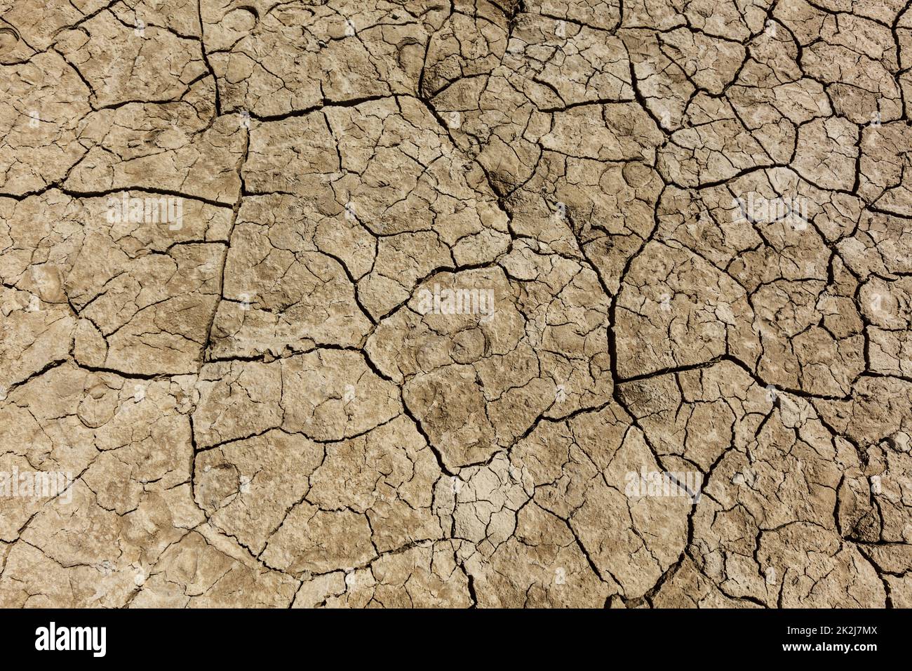 Cracked dry earth with cracks texture Stock Photo - Alamy