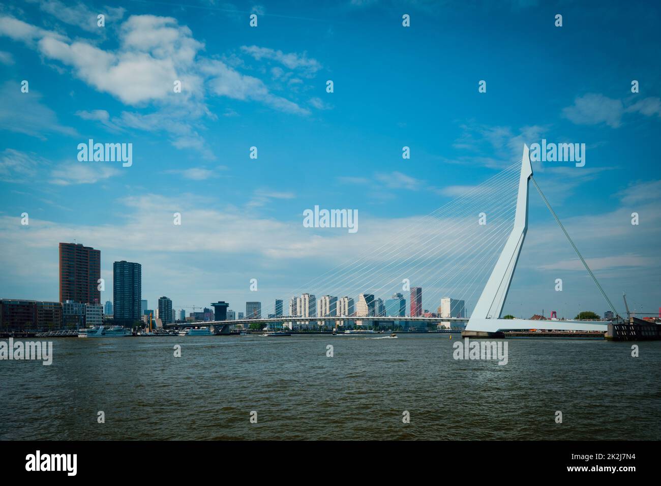 View of Rotterdam over Nieuwe Maas with Erasmusbrug bridge. Rottherdam ...