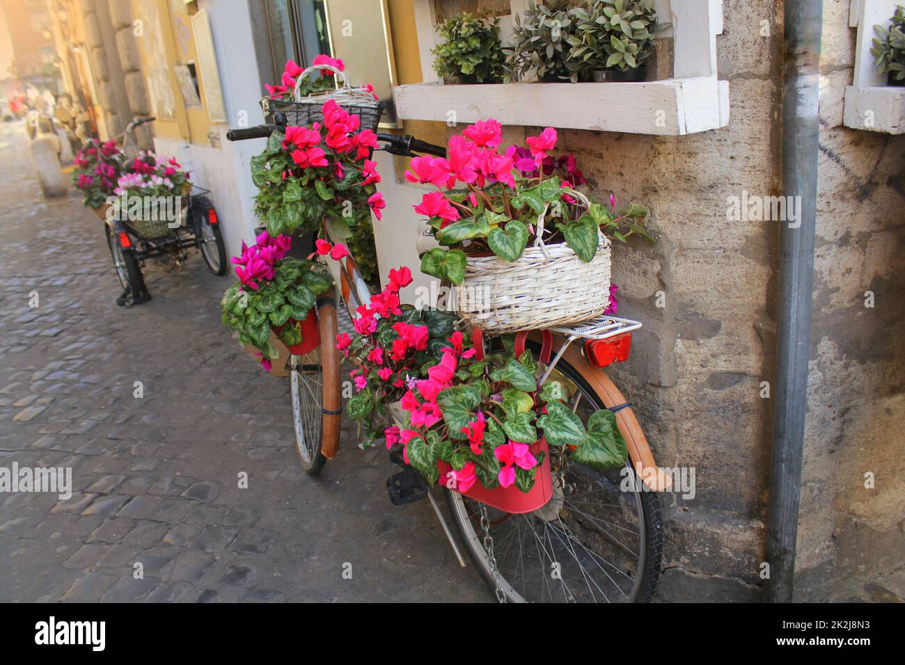 Bicycle with flowers parked on the street in Rome, Italy. Cozy old ...