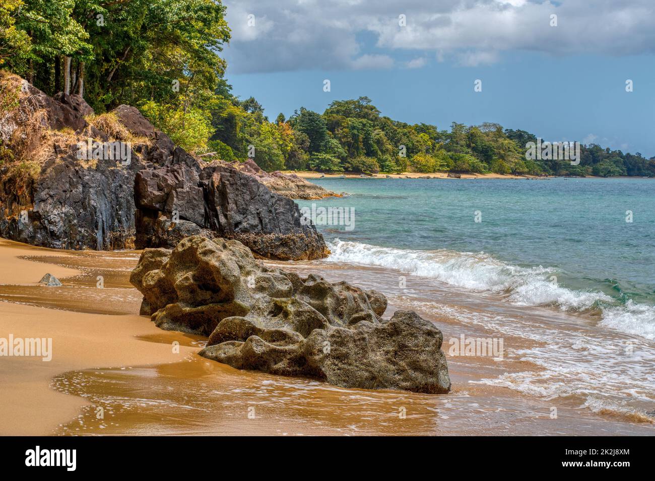 Tropical rainforest masoala peninsula national hi-res stock photography ...
