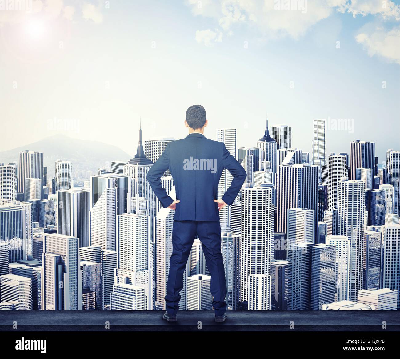 Ready to conquer this citys corporate scene. Rear view of a businessman ...