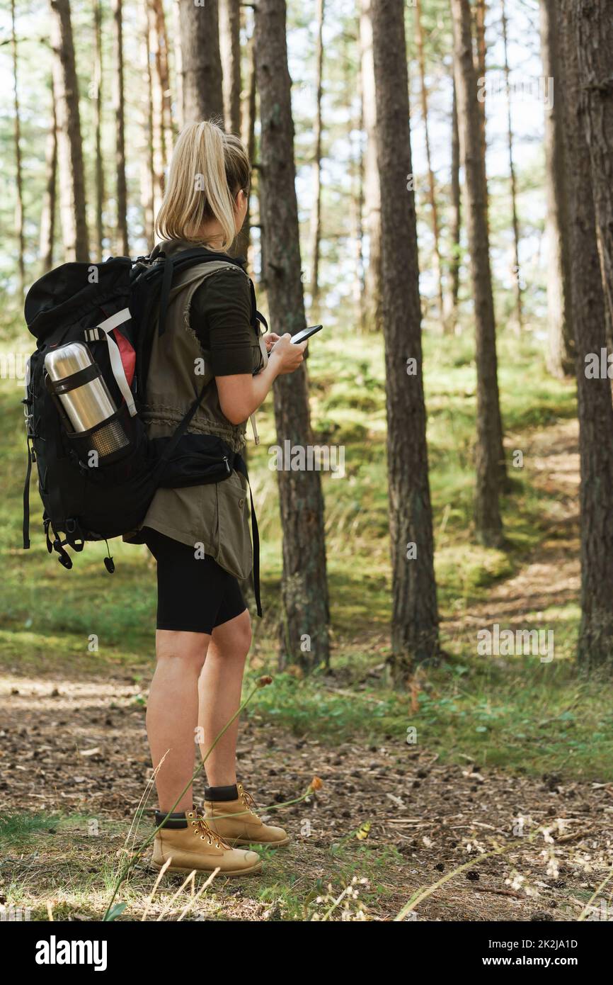 Female hiker is using smartphone for navigation in green forest Stock ...