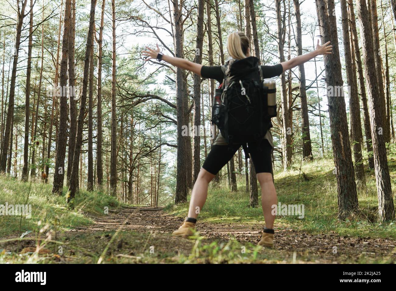 Female hiker with big backpack in green forest. Focus on trees Stock ...