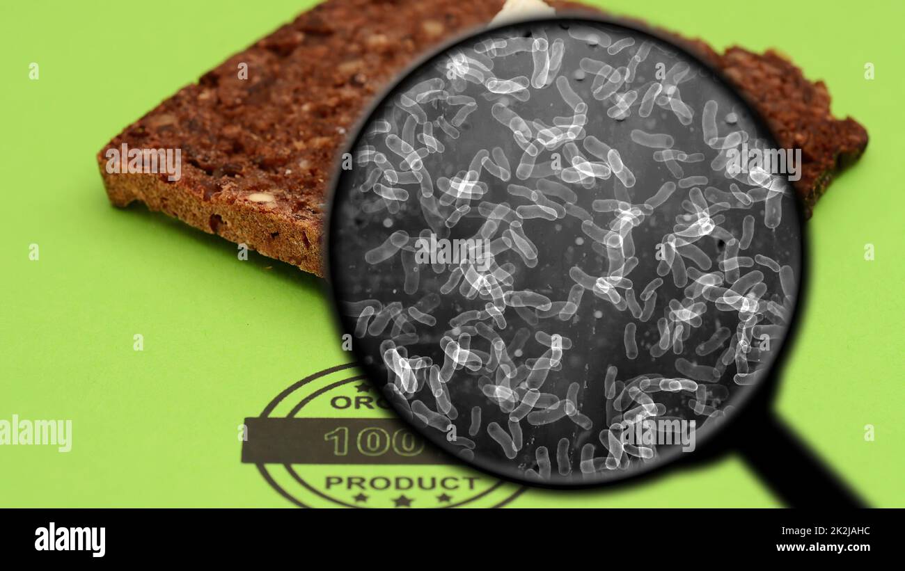 Searching for bacteria in bread Stock Photo - Alamy