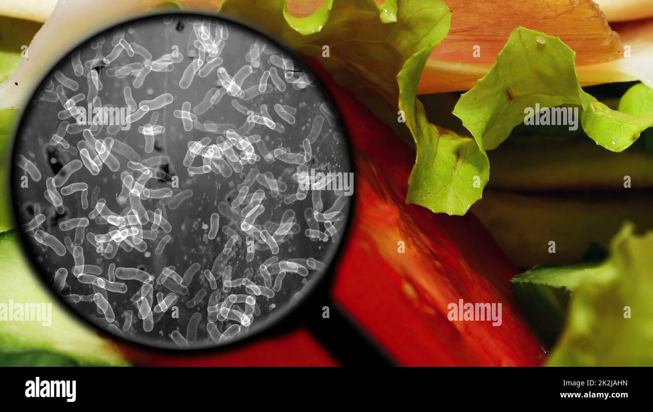 Bacteria microscope food hi-res stock photography and images - Alamy