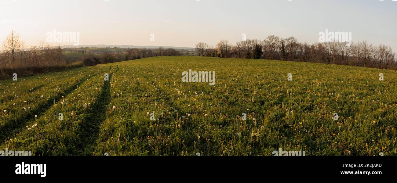 Green country hi-res stock photography and images - Alamy