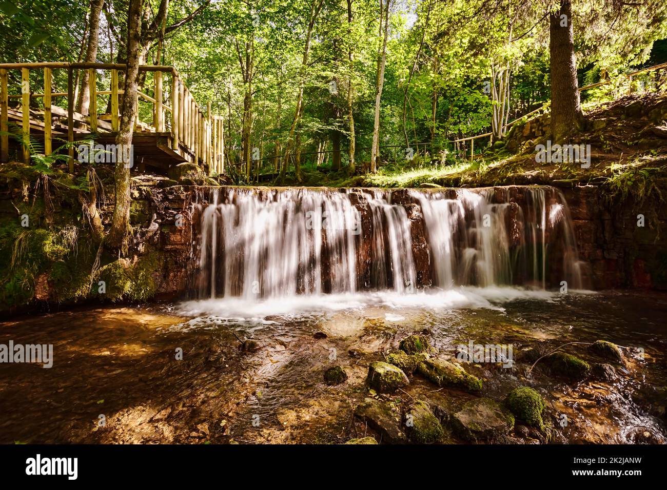 Small forest waterfall hi-res stock photography and images - Alamy