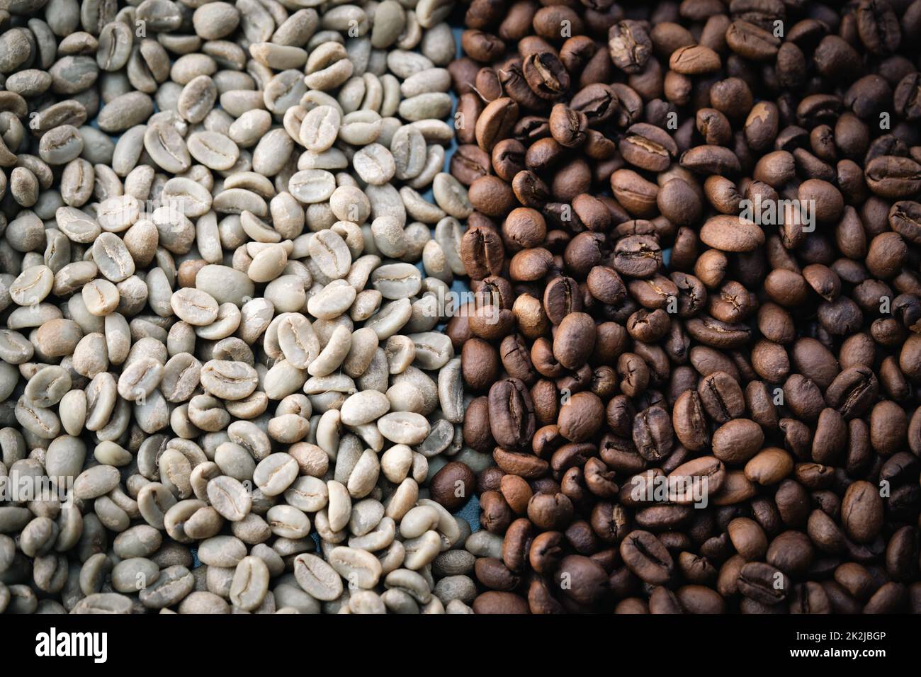 Arabica coffee stages hi-res stock photography and images - Alamy