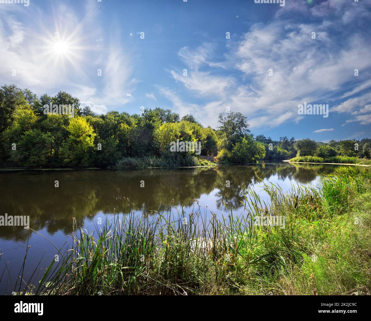 River flowing among green trees Stock Photo - Alamy
