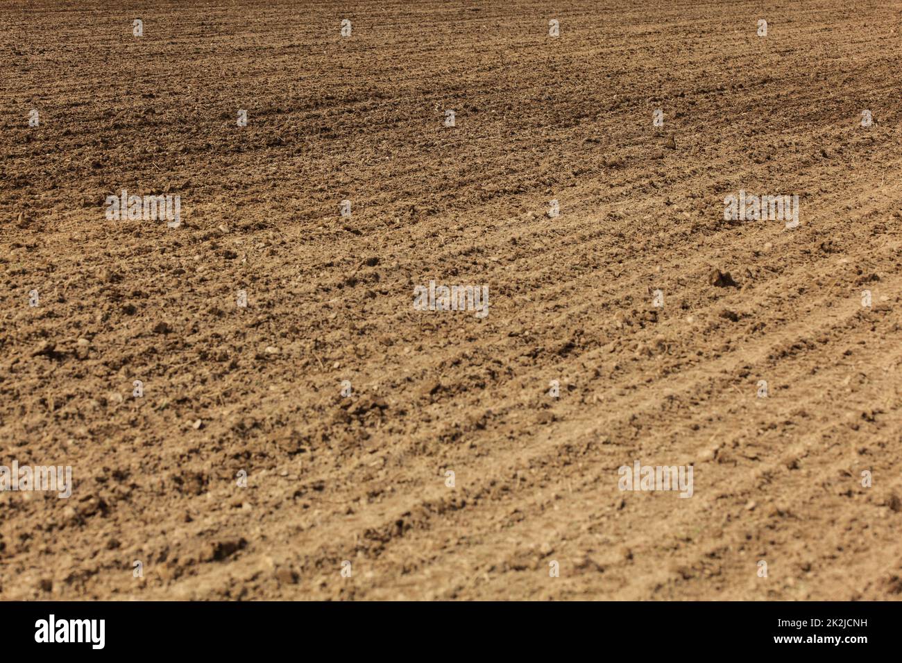 Freshly ploughed field, lines from plow visible in ground. Abstract ...