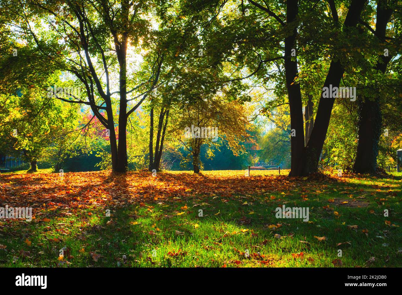 Golden autumn fall October in famous Munich relax place - Englishgarten ...