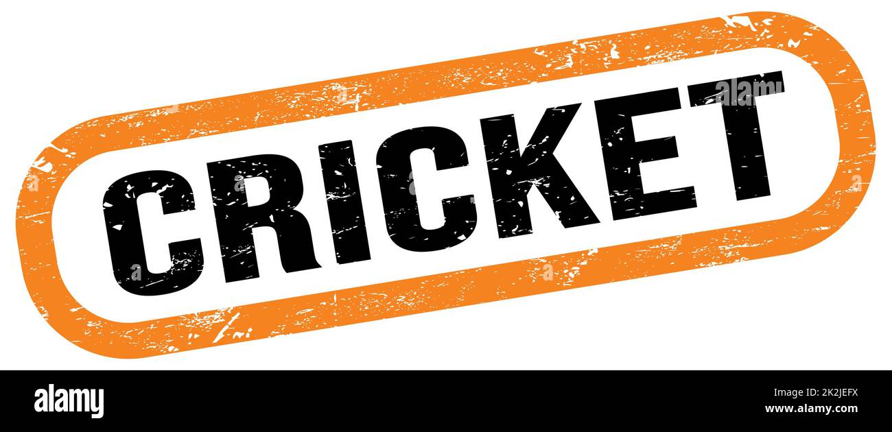 CRICKET, text on orange-black rectangle stamp sign Stock Photo - Alamy