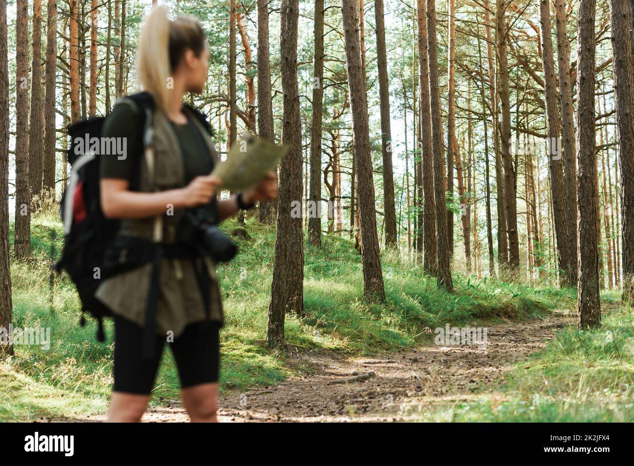 Woman hiker with big backpack using map for orienteering in the forest ...