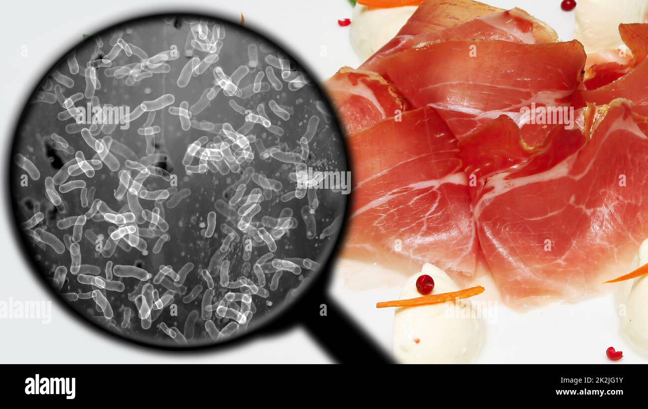 Searching for bacteria in meat Stock Photo - Alamy
