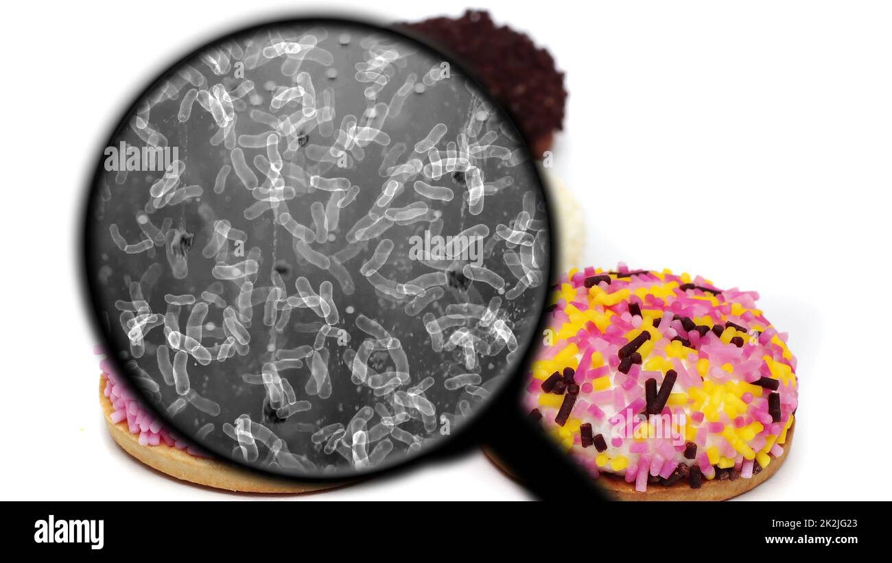 Human pathogen bacteria Cut Out Stock Images & Pictures - Alamy