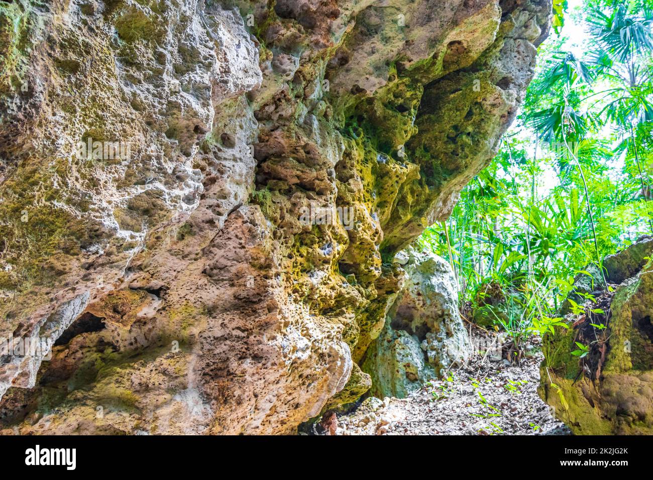 Amazing blue turquoise water and limestone cave sinkhole cenote Mexico ...