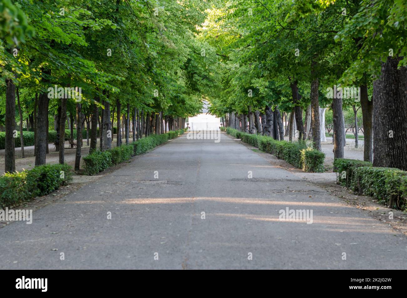 Springtime pathway hi-res stock photography and images - Alamy
