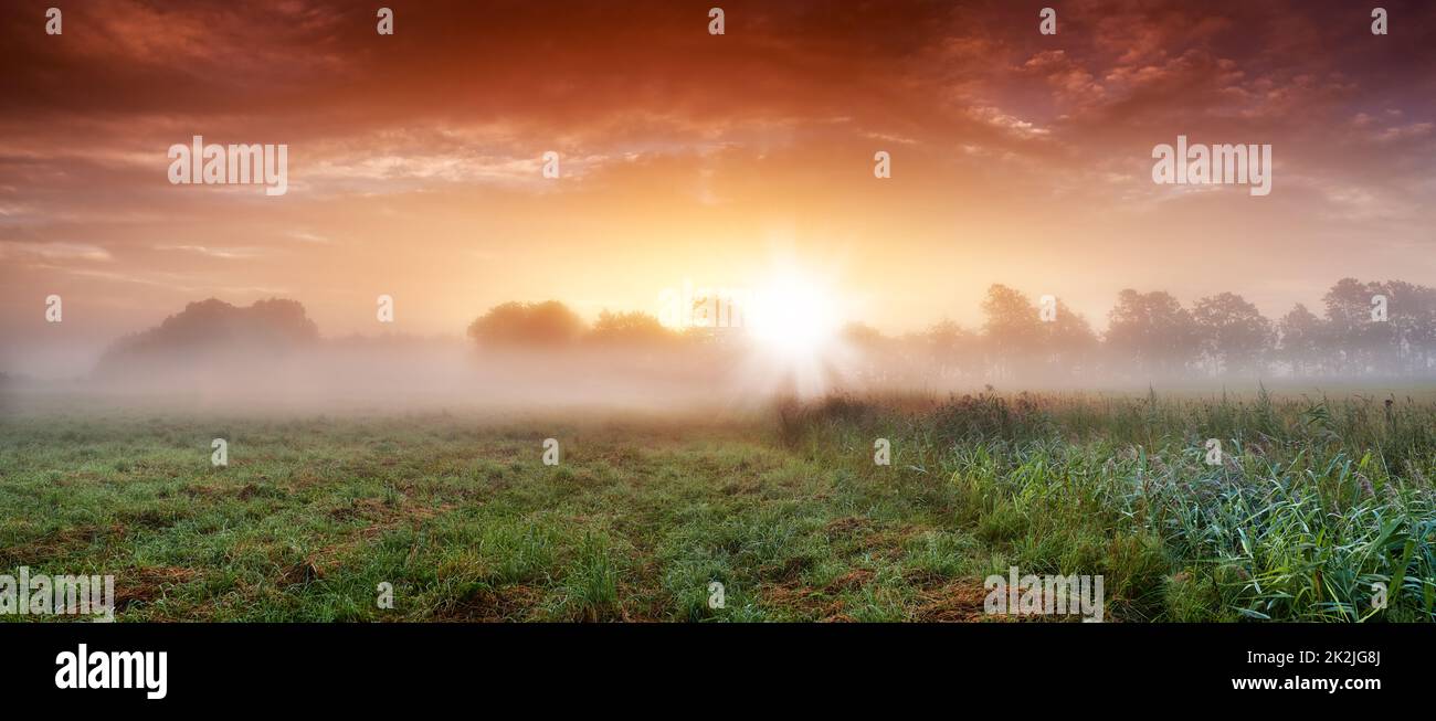 Misty sunrise over the farm. An picturesque farm scene covered in early ...