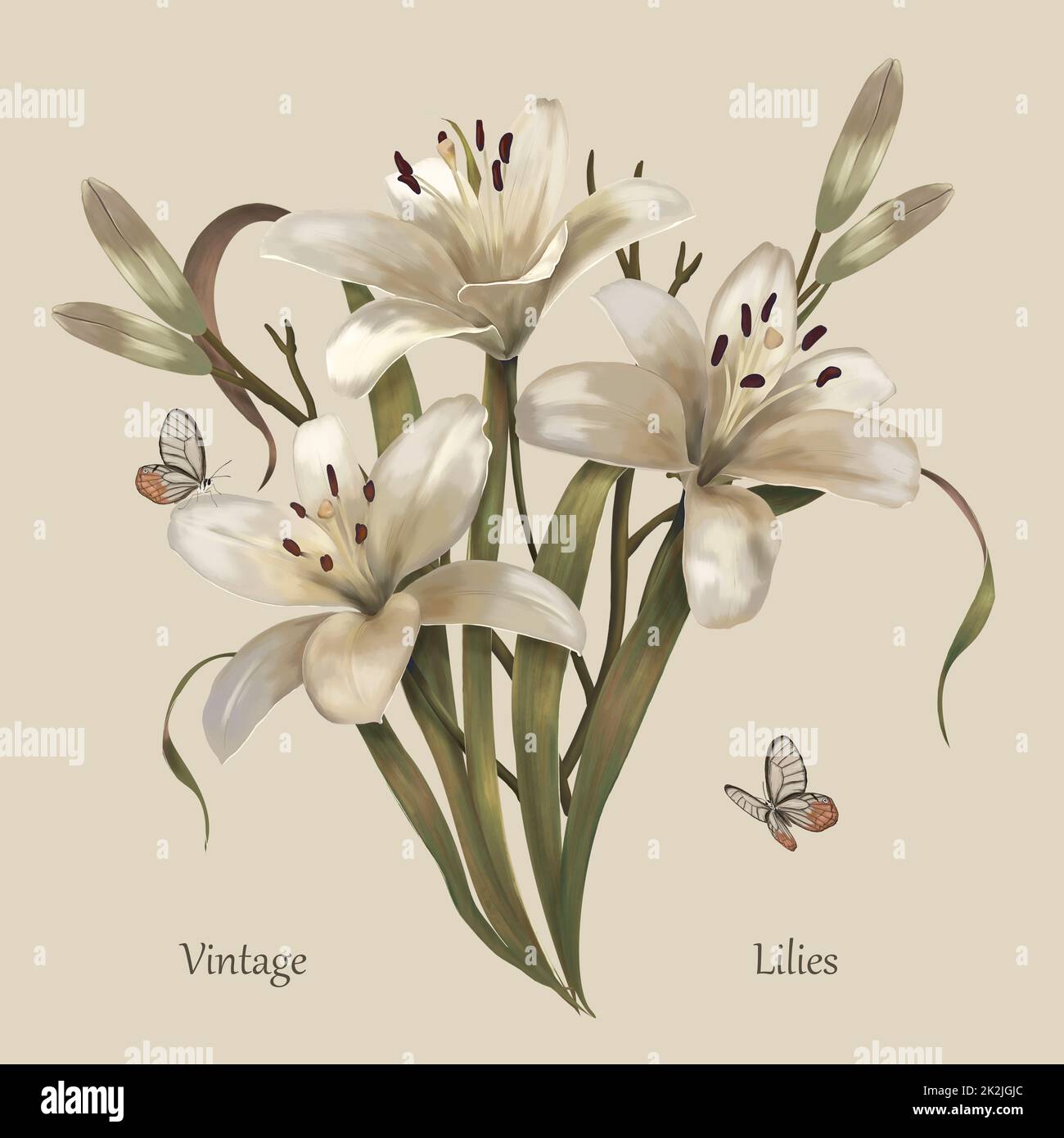 Banner design leaf flowers butterflies hi-res stock photography and ...