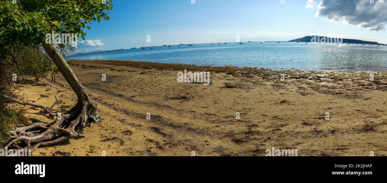 Property For Sale Castle Cove Weymouth at Joseph Avent blog