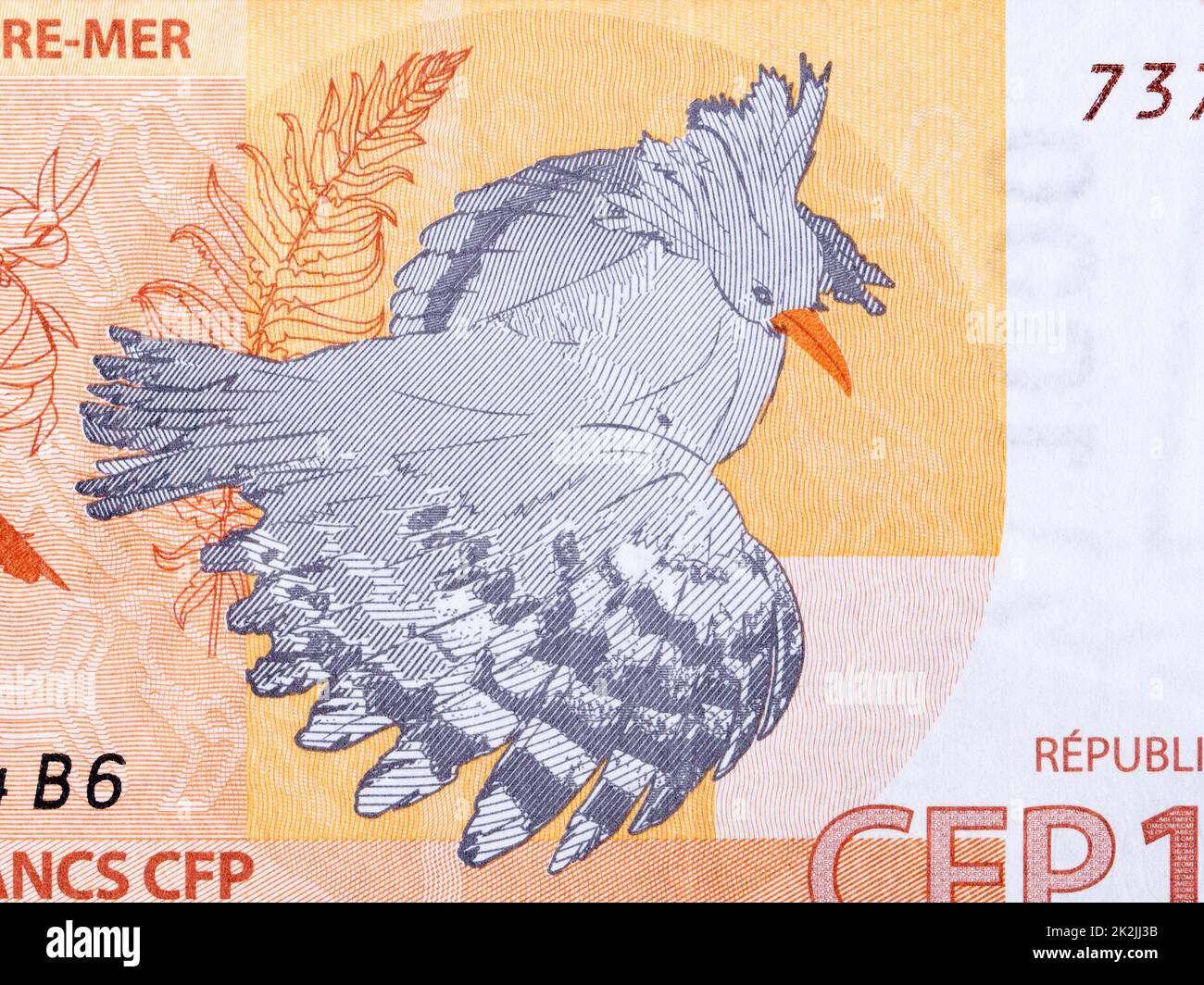Bird from French Pacific Territories from money Stock Photo - Alamy
