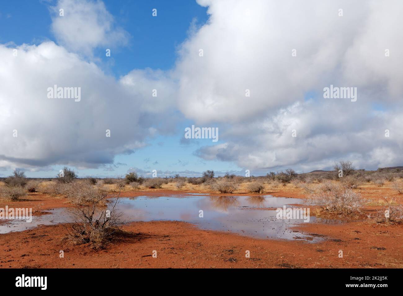African savannah after a rain shower Stock Photo - Alamy