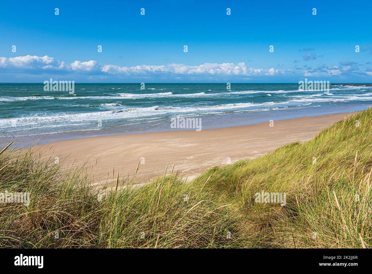 Dune and beach near Hirtshals in Denmark Stock Photo - Alamy