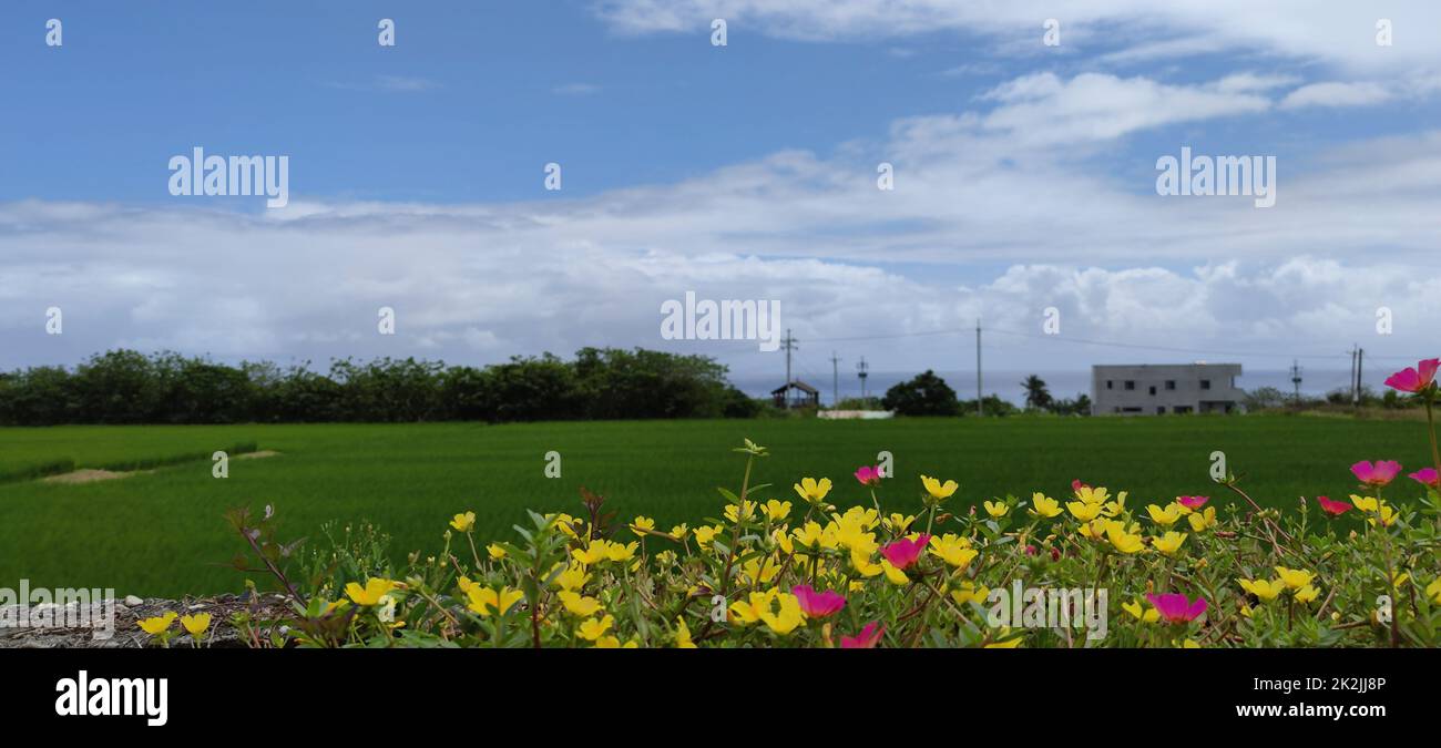 Dulan Sea Viewing Platform, Taitung, enjoy the beautiful coastline of ...