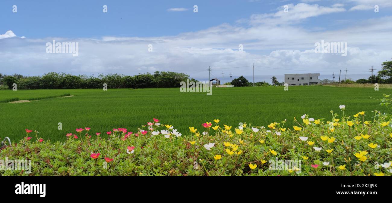 Dulan Sea Viewing Platform, Taitung, enjoy the beautiful coastline of ...