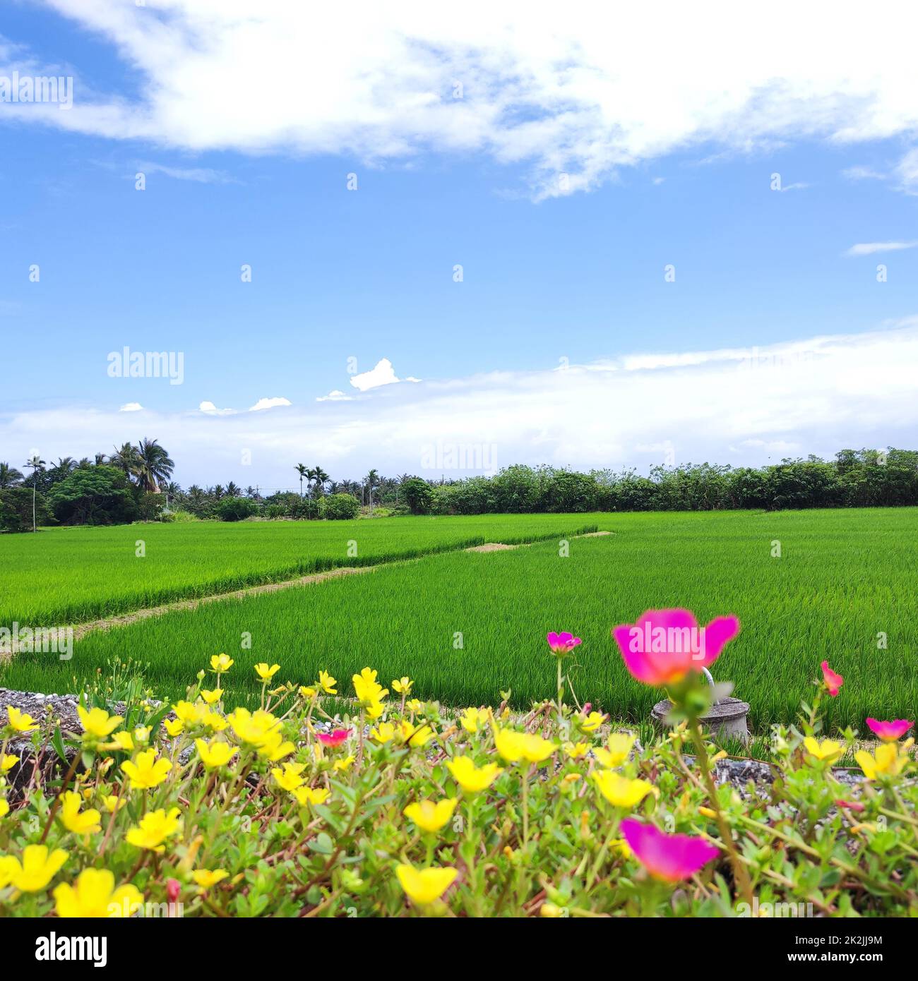 Dulan Sea Viewing Platform, Taitung, enjoy the beautiful coastline of ...