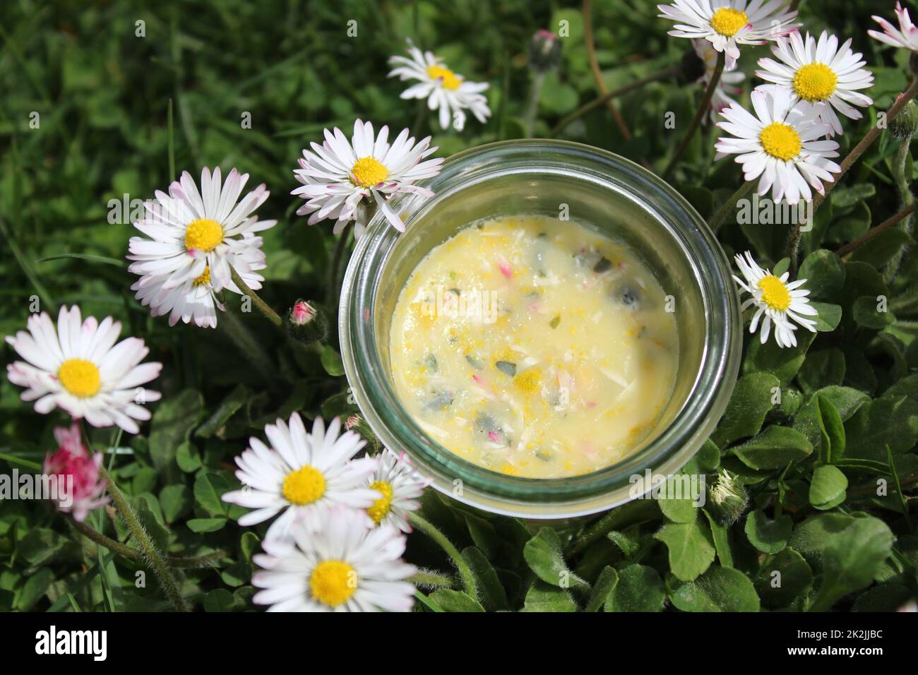 Butter daisy flower hi-res stock photography and images - Alamy