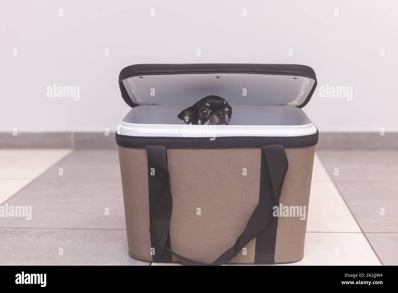 Carrier box hi-res stock photography and images - Alamy