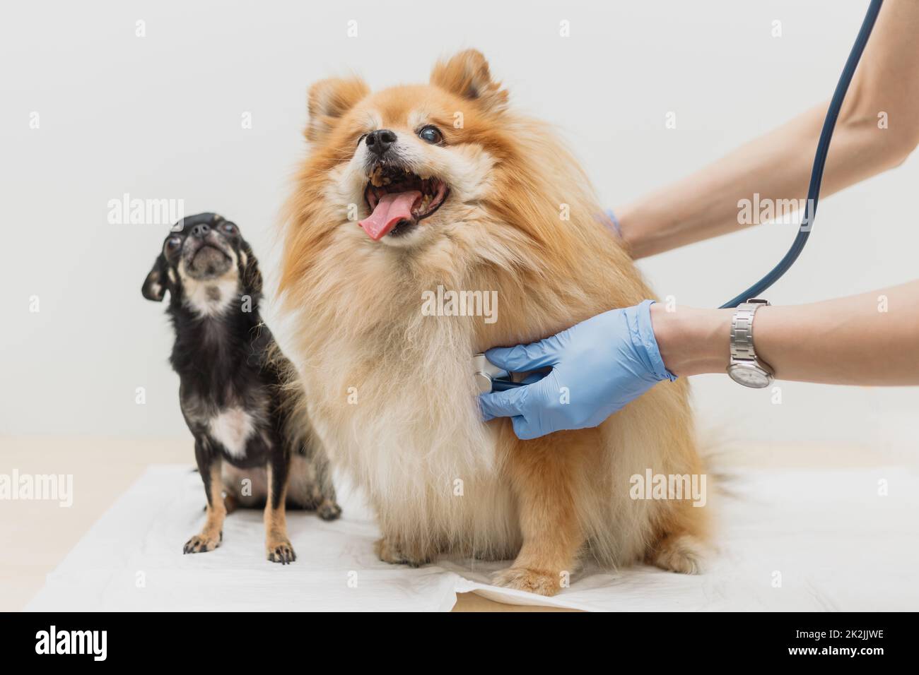 Heartbeat stethoscope hi-res stock photography and images - Alamy