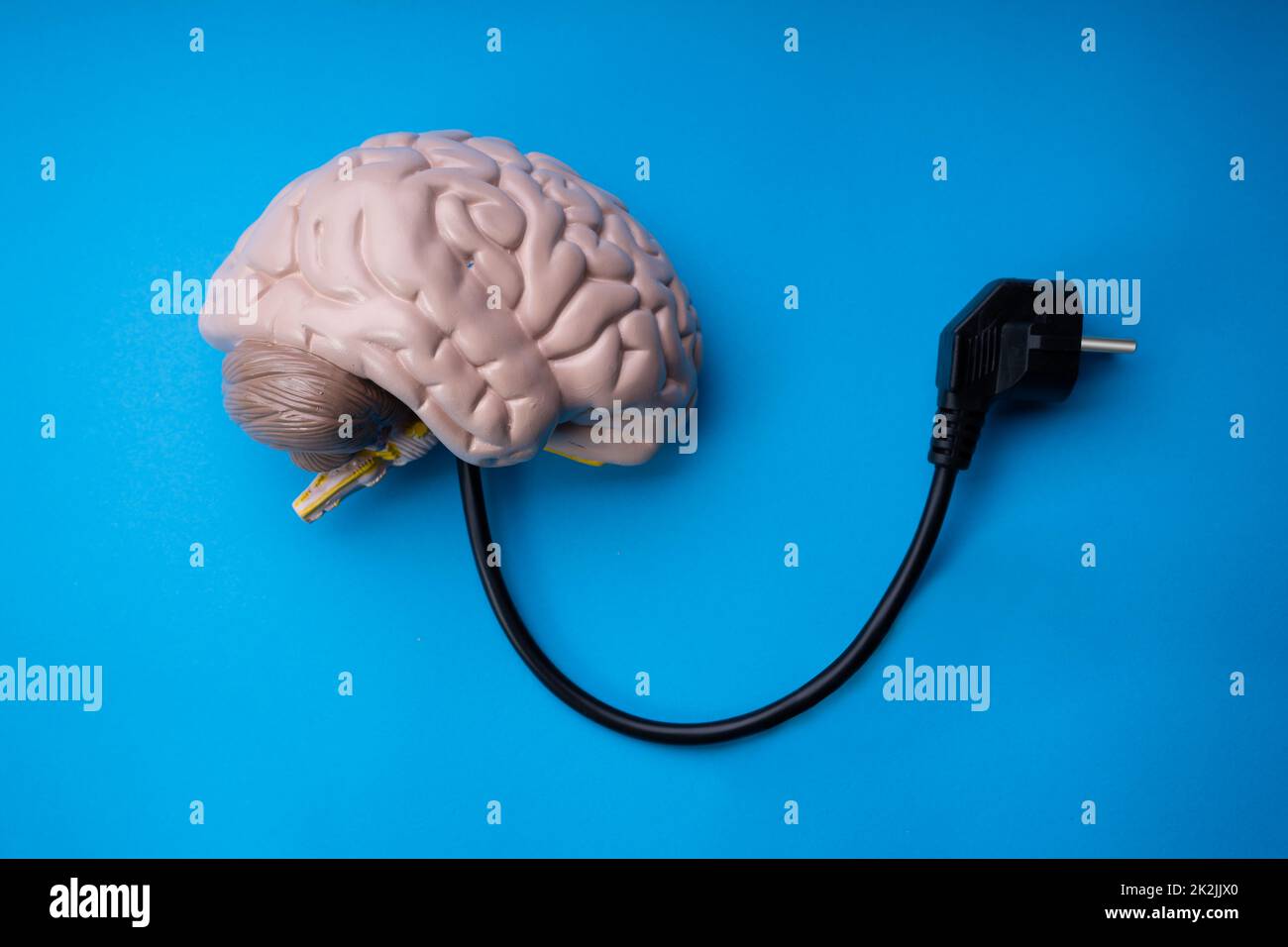 Refill Brain Intelligence With Socket Plug Stock Photo - Alamy