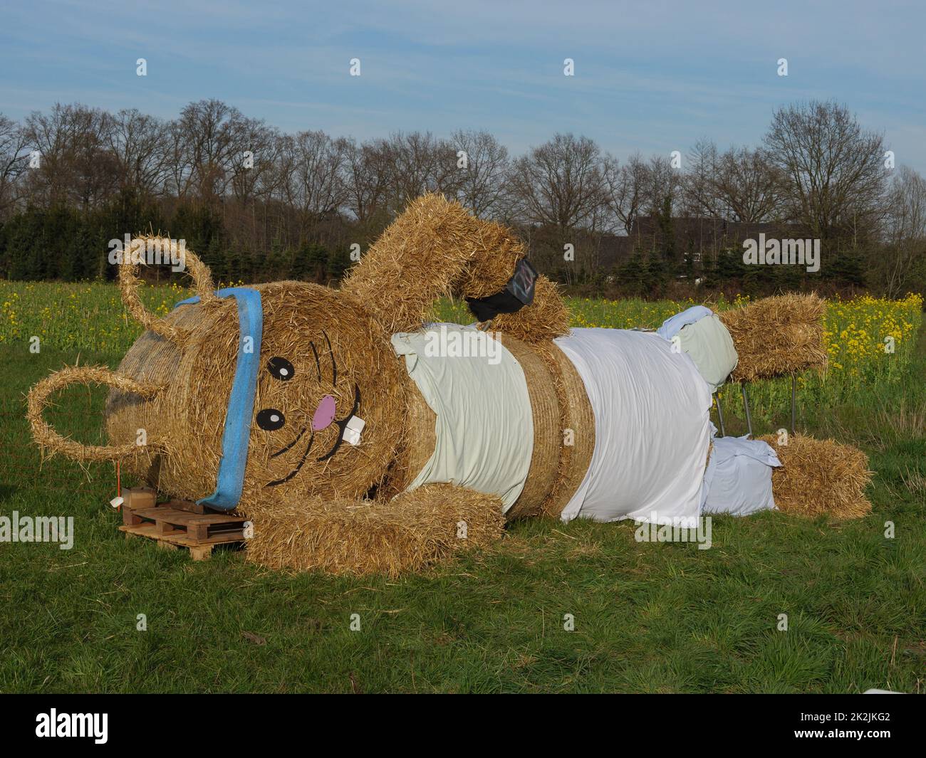 easter bunnies on a field in germany Stock Photo - Alamy
