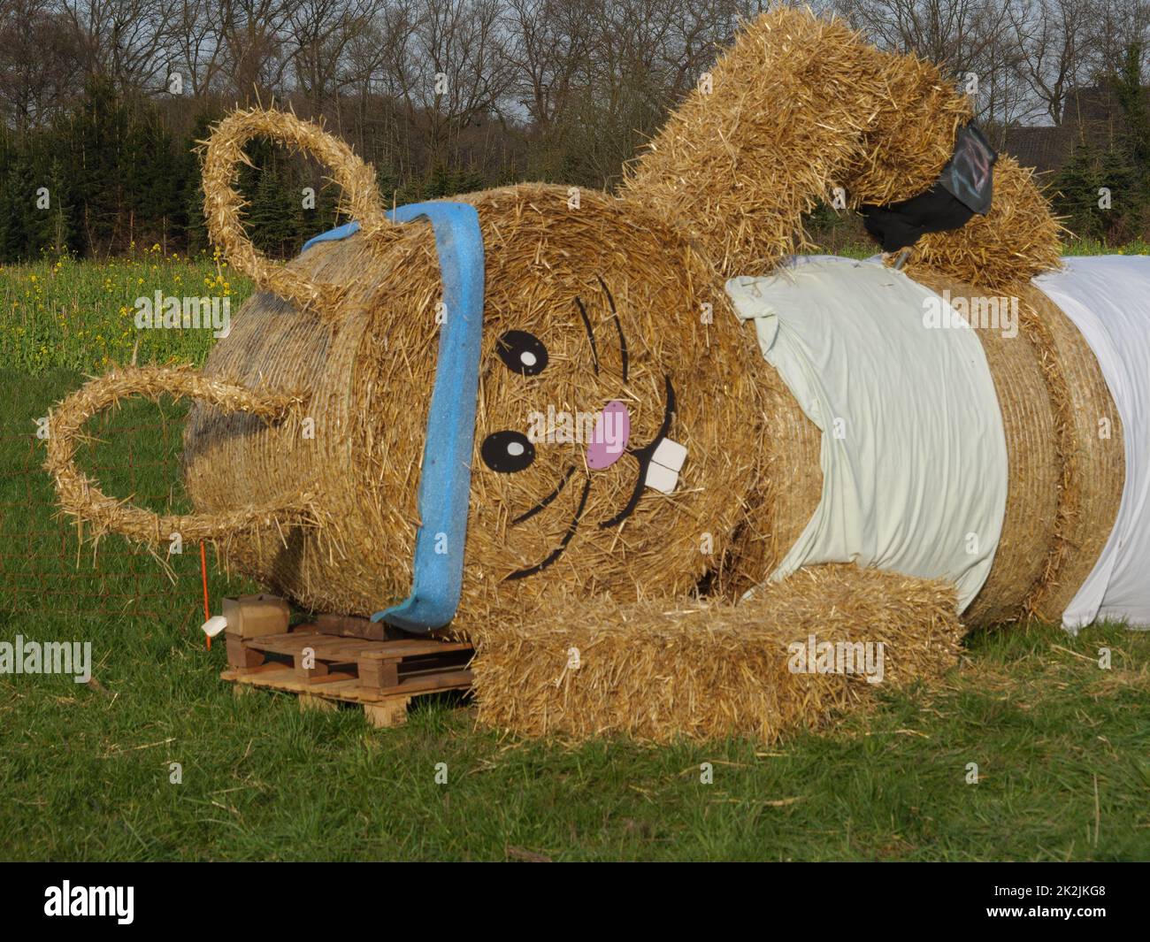 easter bunnies on a field in germany Stock Photo - Alamy