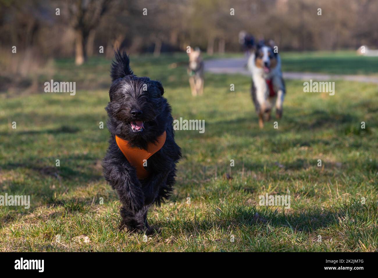 Free behavior hi-res stock photography and images - Alamy