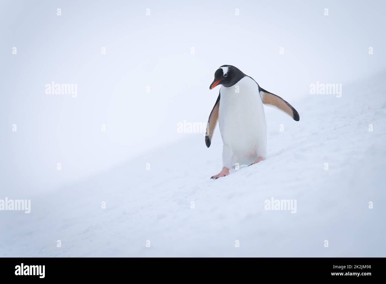 Looking down the slope hi-res stock photography and images - Alamy