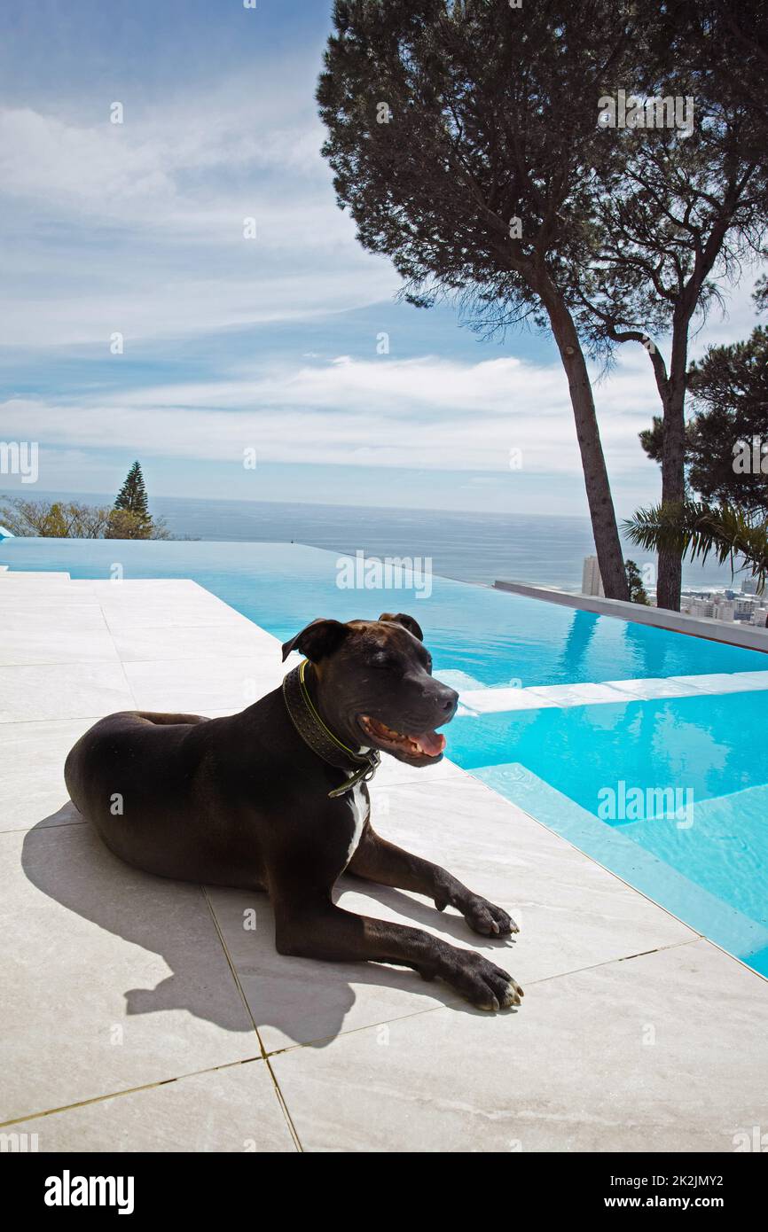 Dreams vista hi-res stock photography and images - Alamy