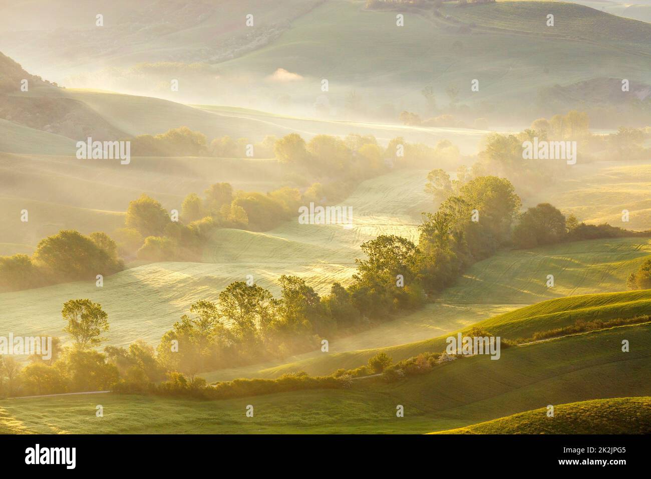 Fields with tree in dawn mist Stock Photo - Alamy