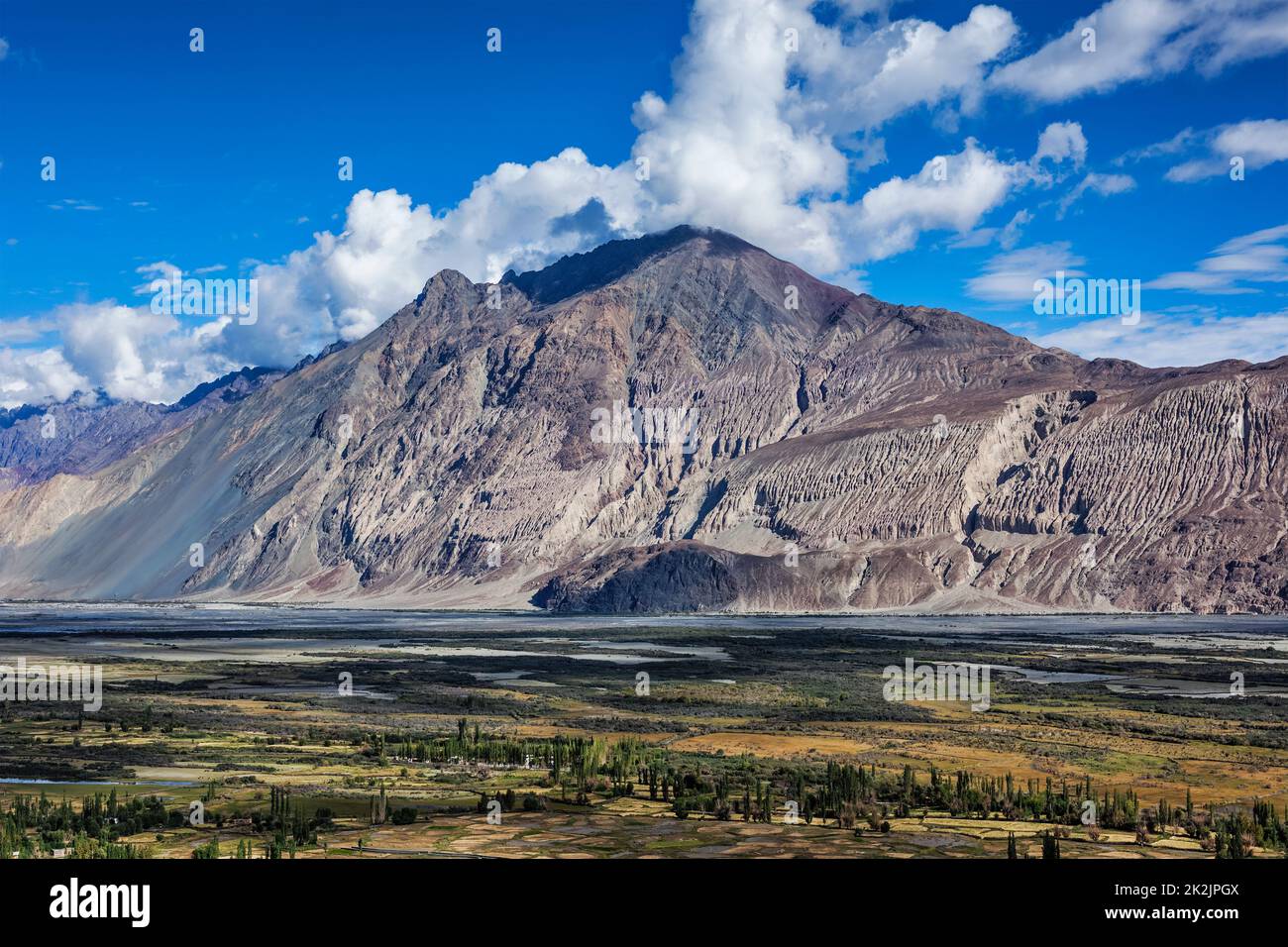 Nubra valley in Himalayas. Ladakh, India Stock Photo - Alamy