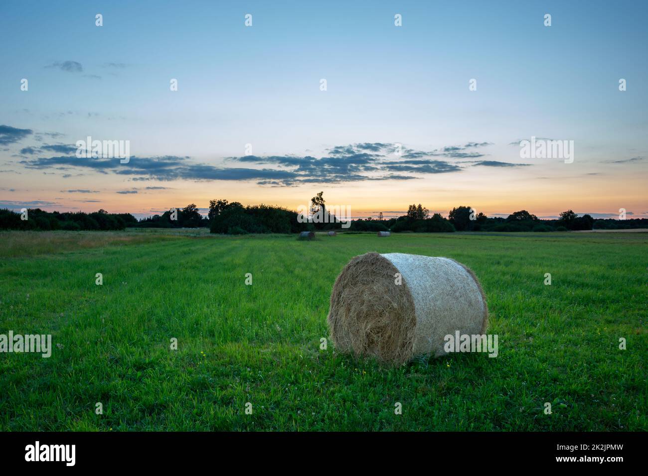 The hay in the meadow dry hay hi-res stock photography and images - Alamy