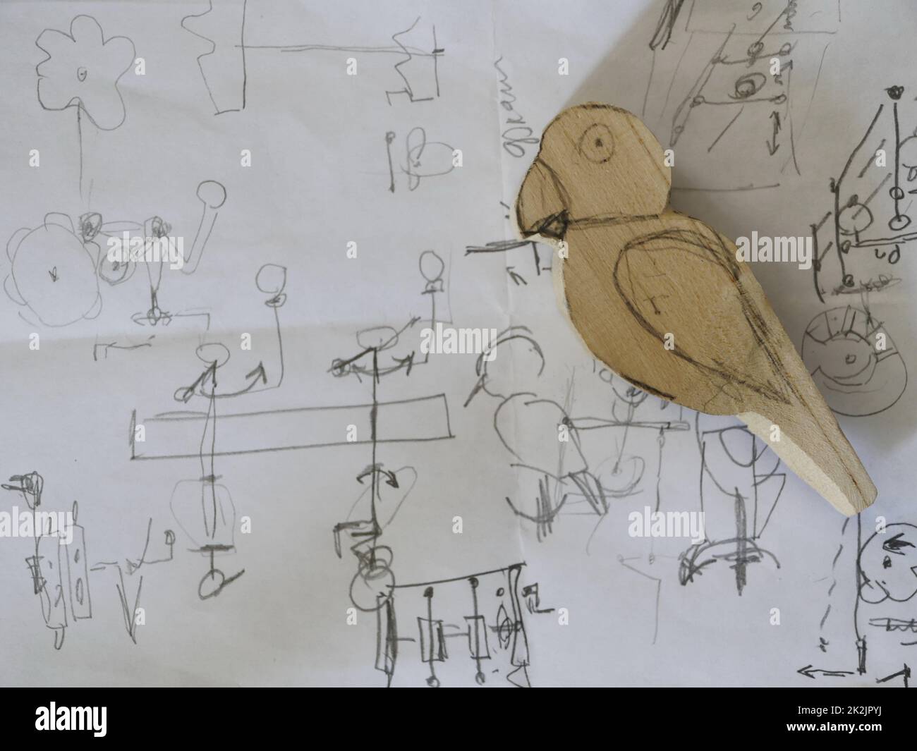 Parrot drawing hi-res stock photography and images - Alamy