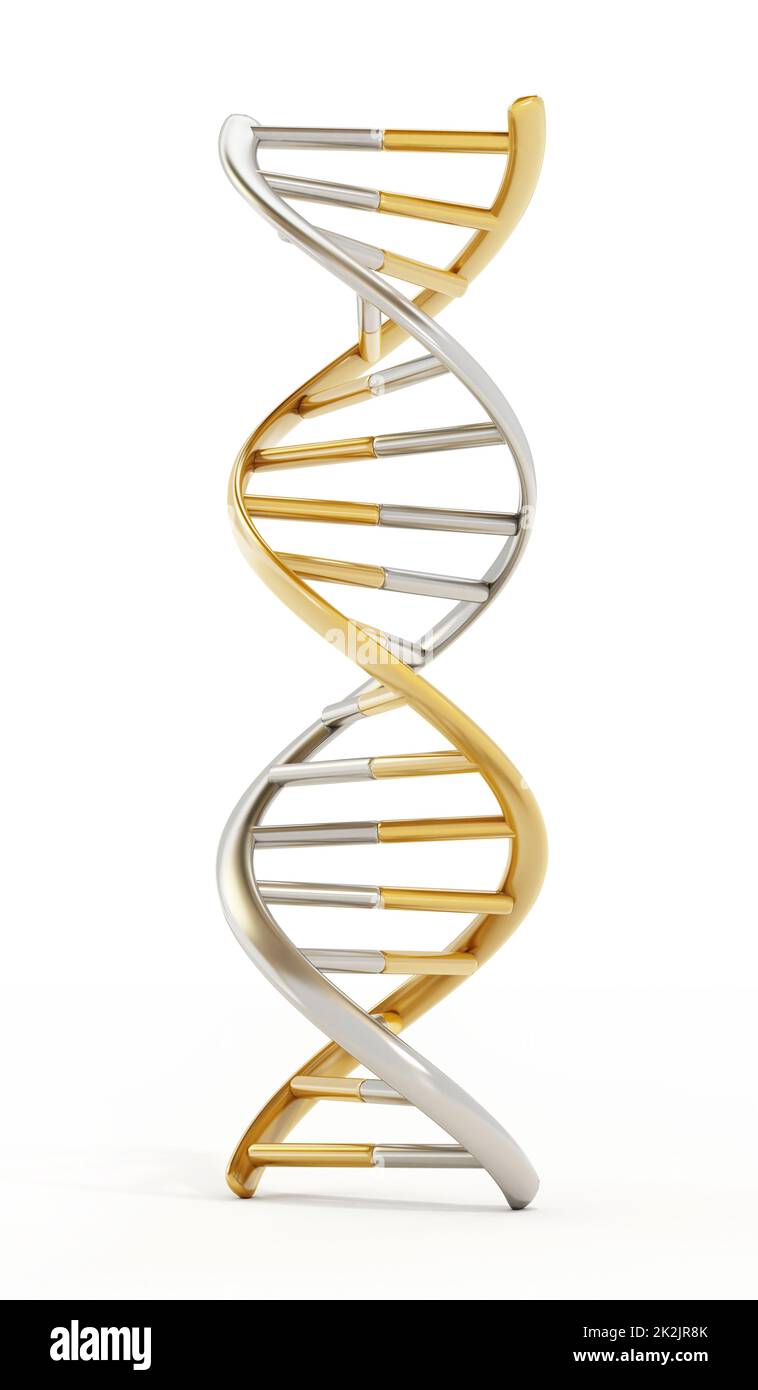 Gold and silver colored dna helix. 3D illustration Stock Photo - Alamy