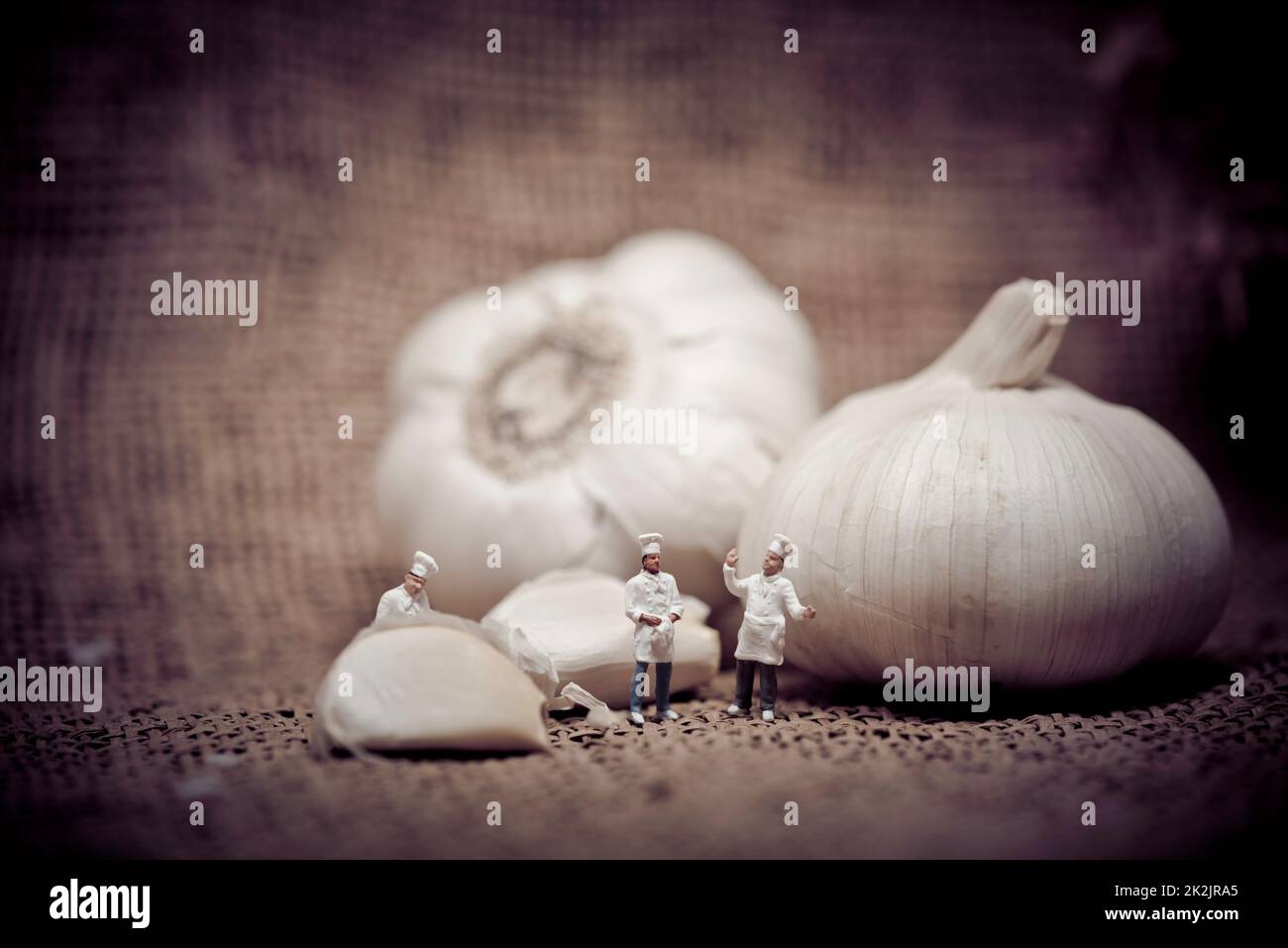 Miniature Chefs with huge Garlic bulb. Color tone tuned macro photo ...