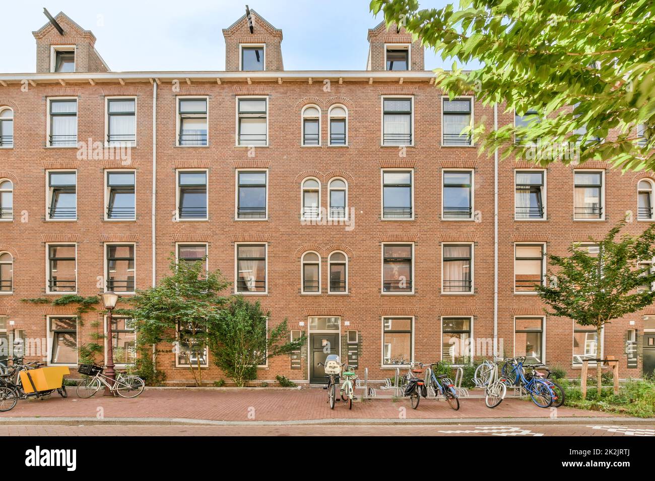 View of street near building with beauty of vegetation outside Stock ...