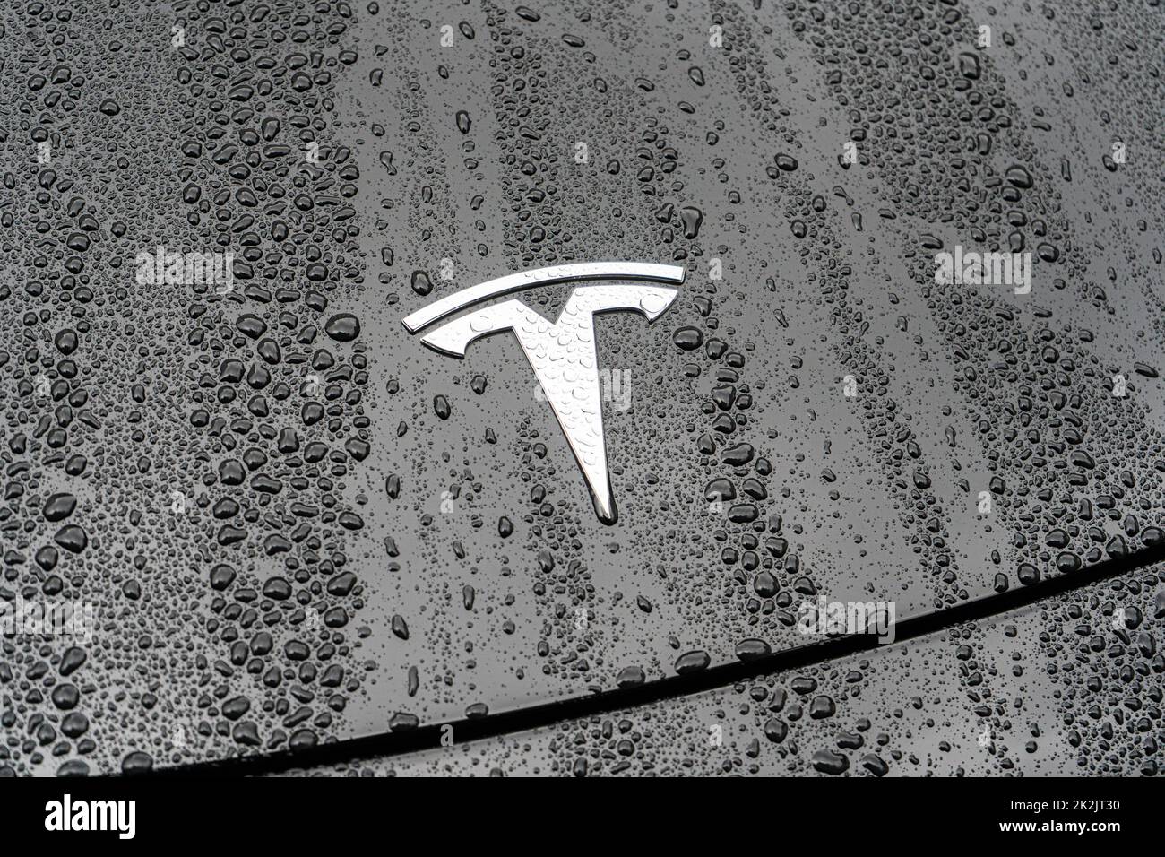 23 September 2022: Tesla car logo covered in rain drops Stock Photo - Alamy