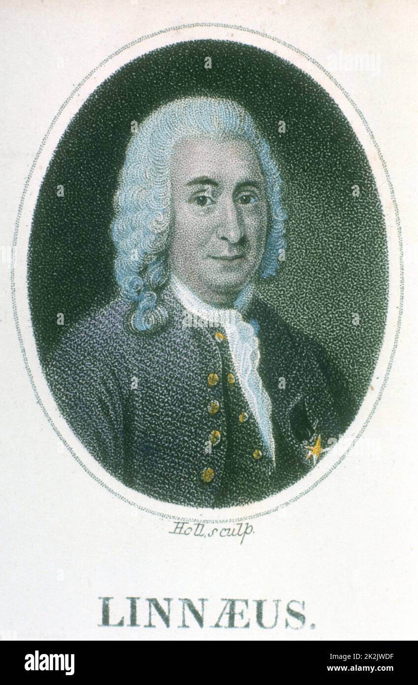 Linnaeus (Carl von Linne - 1707-1778). Swedish naturalist and physician ...