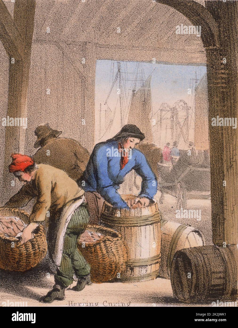 Curing herring by salting andpacking into barrels. From "Graphic ...