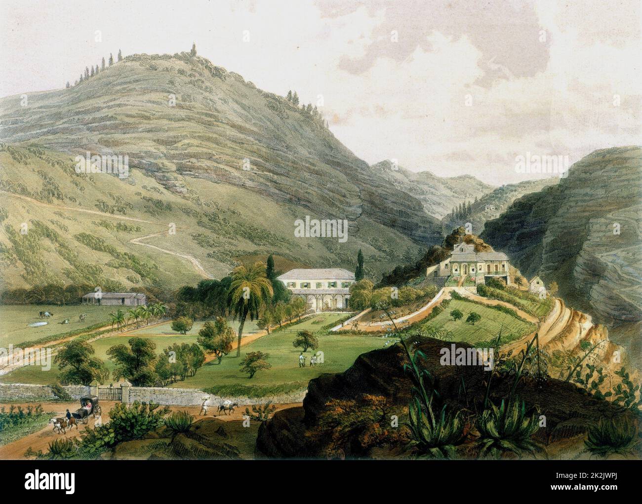 St Helena showing 'The Briars'. Lithograph after drawing by Lt. F.R ...